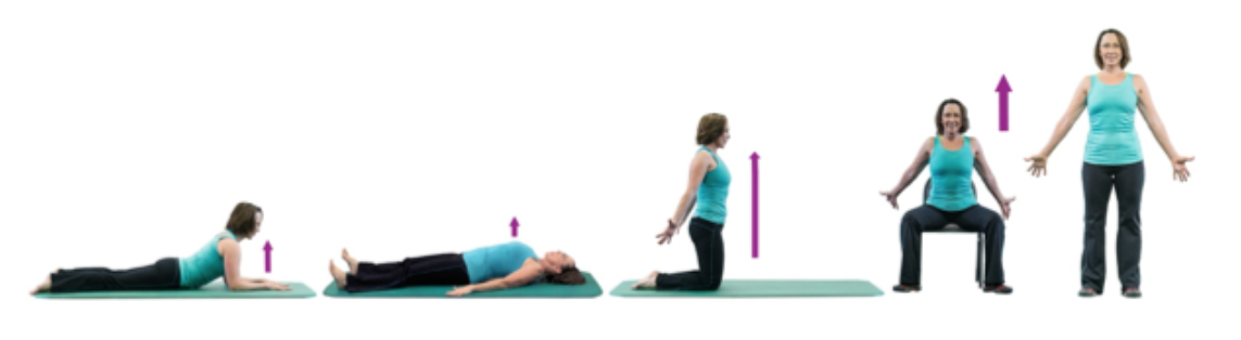 Approach – Parkinson Wellness Recovery | PWR!