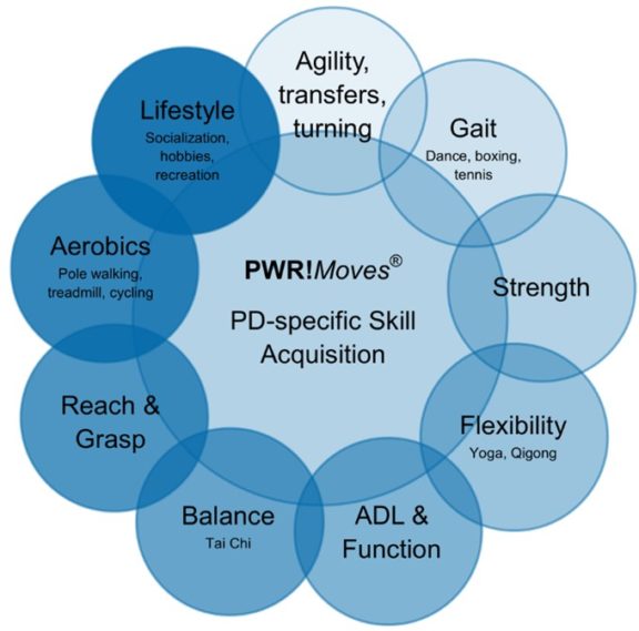 PWR! Workshops – Parkinson Wellness Recovery | PWR!